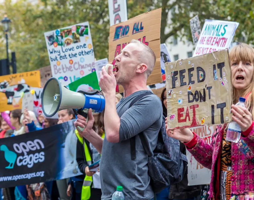 Vegans deemed “weird” as they get “harassed at work” by peers and ...
